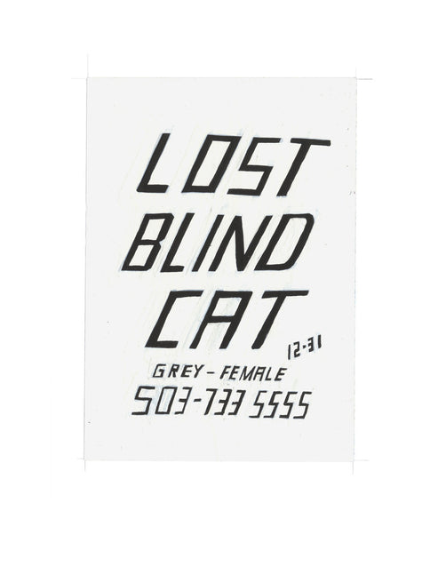 #89 LOST BLIND CAT – scottpatt